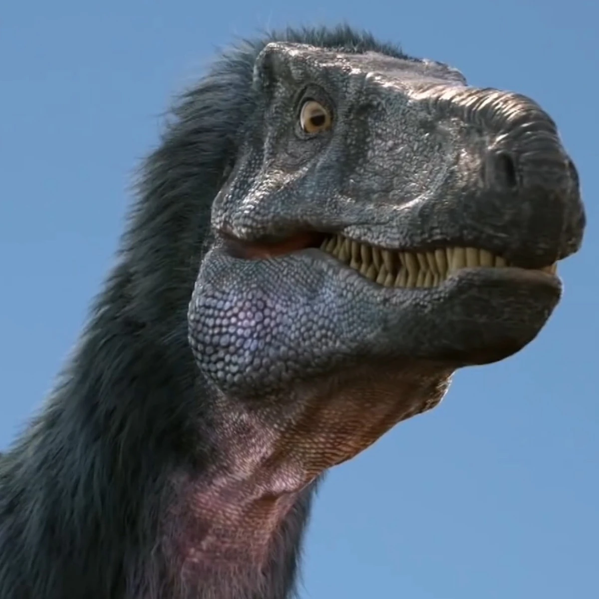 Fukuiraptor | Adventures of Jairex and Tirzah Rose Wiki | Fandom