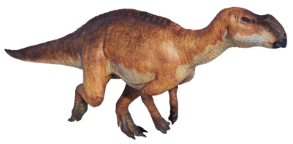Muttaburrasaurus | Adventures of Jairex and Tirzah Rose Wiki | Fandom
