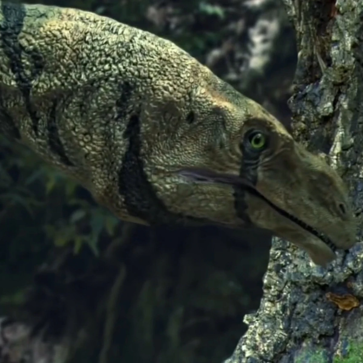 Glacialisaurus | Adventures of Jairex and Tirzah Rose Wiki | Fandom