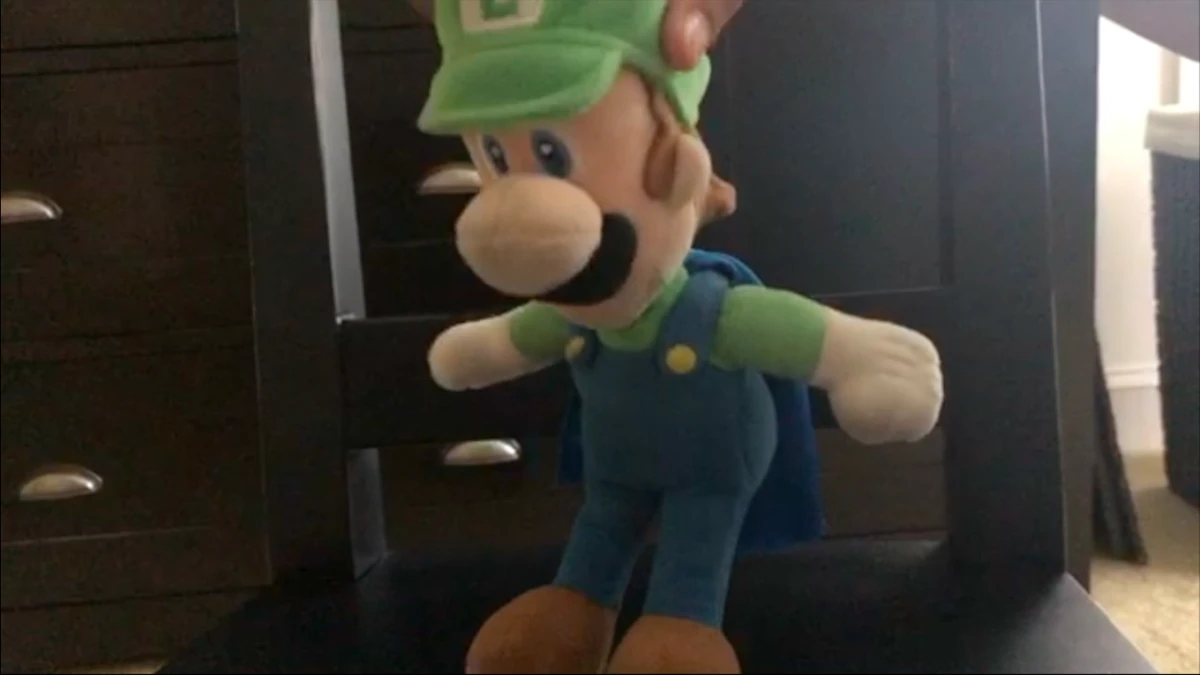 Super Luigi | Adventures of Super Luigi Wiki | Fandom