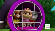 Kitten Catastrophe Crew | Adventures of the PAW Patrol 2 Wiki | Fandom