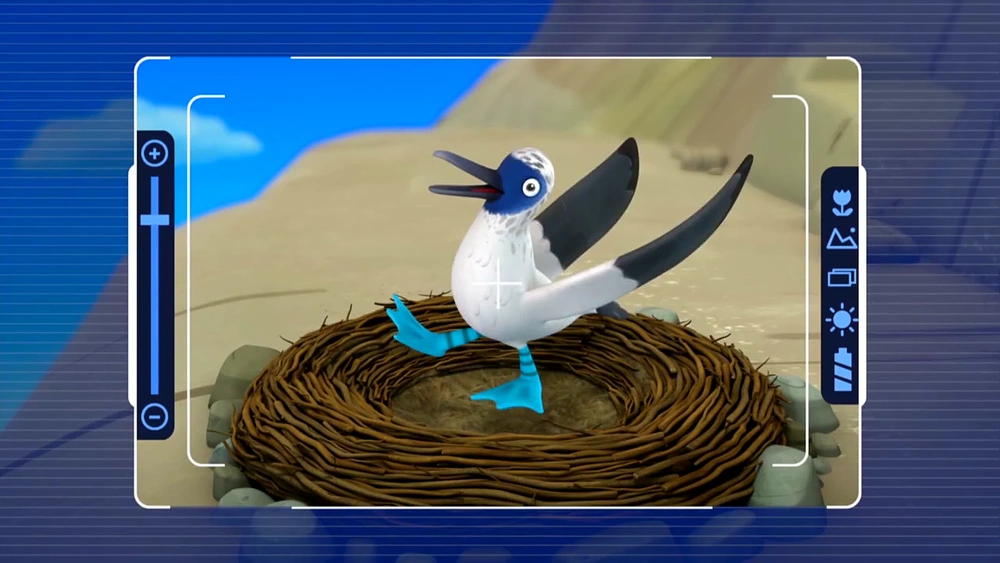 Blue-footed booby bird | Adventures of the PAW Patrol 2 Wiki | Fandom