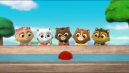 Kitten Catastrophe Crew | Adventures of the PAW Patrol 2 Wiki | Fandom