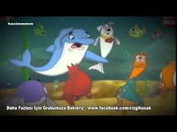 Dooley the Dolphin | Adventures of the Super Puppies Wiki | Fandom
