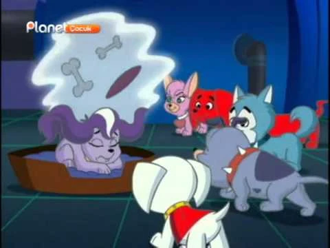 Puppy Bull Dog | Adventures of the Super Puppies Wiki | Fandom