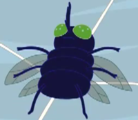 Fly | Adventure Time Super Fans Wiki | Fandom