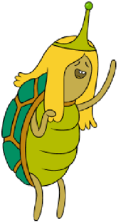 Turtle Princess | Adventure Time with Finn and Jake! Wiki | Fandom