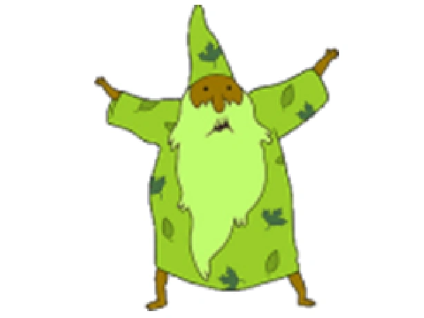 Forest Wizard | Adventure Time with Finn and Jake! Wiki | Fandom