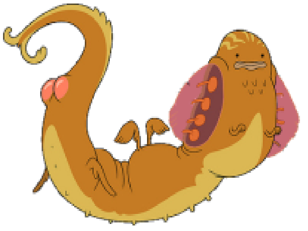 Dragon | Adventure Time with Finn and Jake! Wiki | Fandom