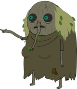 Tree Witch | Adventure Time Wiki | Fandom