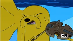 adventure time viola