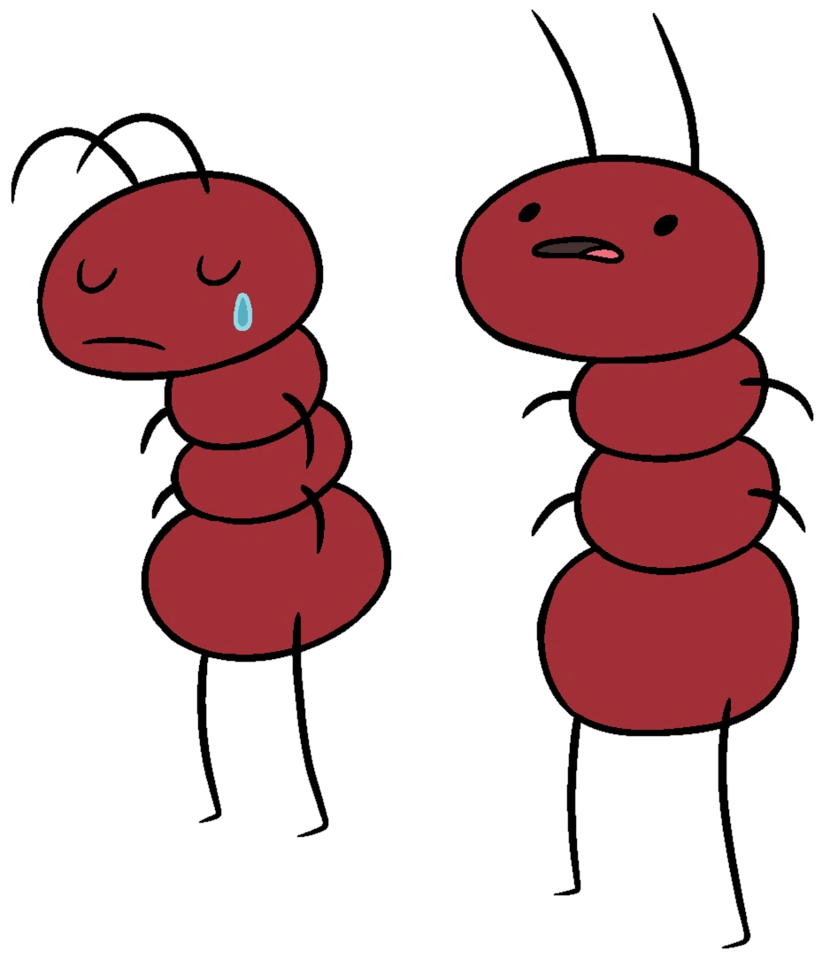 Ants | Adventure Time Wiki | Fandom