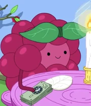 Wildberry People | Adventure Time Wiki | Fandom