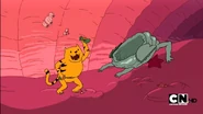 Cats | Adventure Time Wiki | Fandom