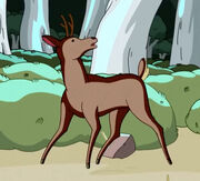 Deer (species) | Adventure Time Wiki | Fandom