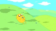 The Wand | Adventure Time Wiki | Fandom