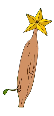 Wish Magic | Adventure Time Wiki | Fandom