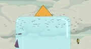 Birds | Adventure Time Wiki | Fandom