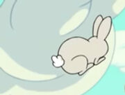 Bunny | Adventure Time Wiki | Fandom