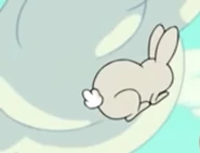 Bunny | Adventure Time Wiki | Fandom