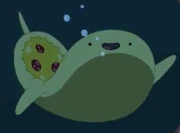 Fish | Adventure Time Wiki | Fandom