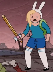 Finn | Adventure Time Wiki | Fandom