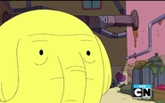 High Strangeness | Adventure Time Wiki | Fandom