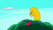 Up a Tree | Adventure Time Wiki | Fandom