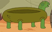Tortoises | Adventure Time Wiki | Fandom