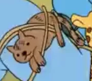 Cats | Adventure Time Wiki | Fandom