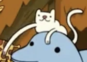 Cats | Adventure Time Wiki | Fandom
