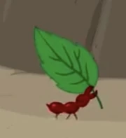 Ants | Adventure Time Wiki | Fandom