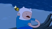 Bees | Adventure Time Wiki | Fandom