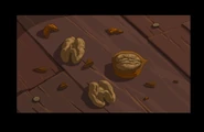 Walnuts & Rain | Adventure Time Wiki | Fandom