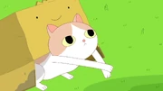 Cats | Adventure Time Wiki | Fandom