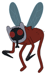 Finn | Adventure Time Wiki | Fandom