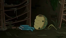 Turtle Princess | Adventure Time Wiki | Fandom