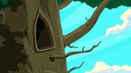 Up a Tree | Adventure Time Wiki | Fandom