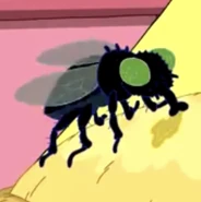 Flies | Adventure Time Wiki | Fandom