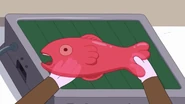 Fish | Adventure Time Wiki | Fandom