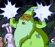Forest Wizard | Adventure Time Wiki | Fandom