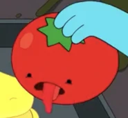 Special Sentient Sandwich | Adventure Time Wiki | Fandom