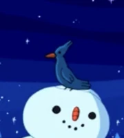 Birds | Adventure Time Wiki | Fandom