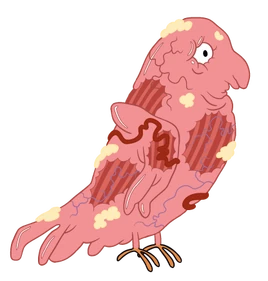 Bird inside out | Adventure Time Wiki | Fandom