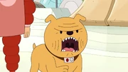 Dogs | Adventure Time Wiki | Fandom