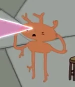 Wizards | Adventure Time Wiki | Fandom