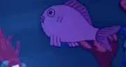 Fish | Adventure Time Wiki | Fandom