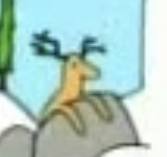 Deer (species) | Adventure Time Wiki | Fandom