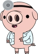 Piglets | Adventure Time Wiki | Fandom