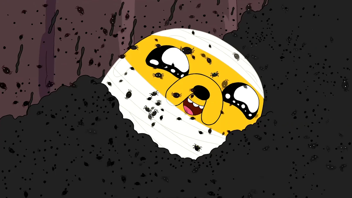Spiders | Adventure Time Wiki | Fandom
